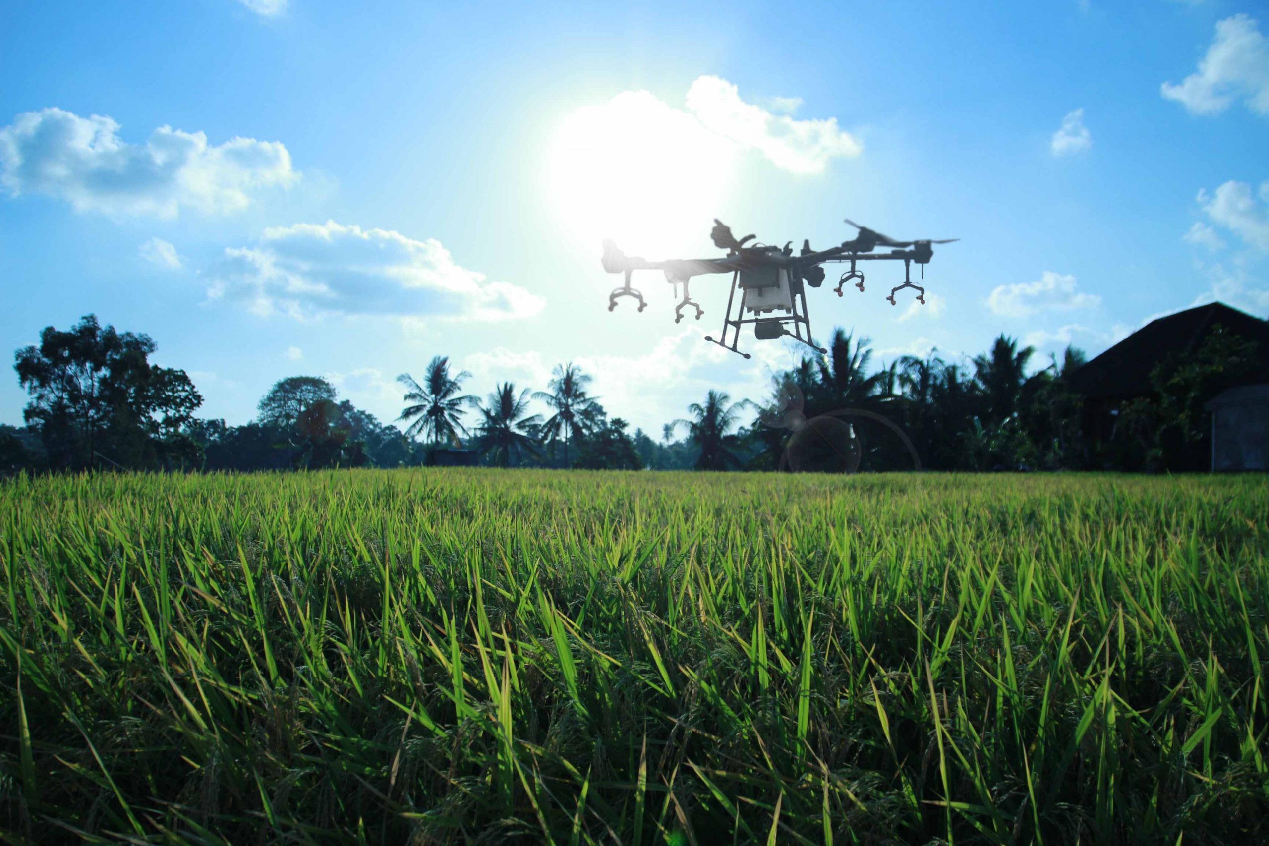 Agridom Corporation – Precision Technology
