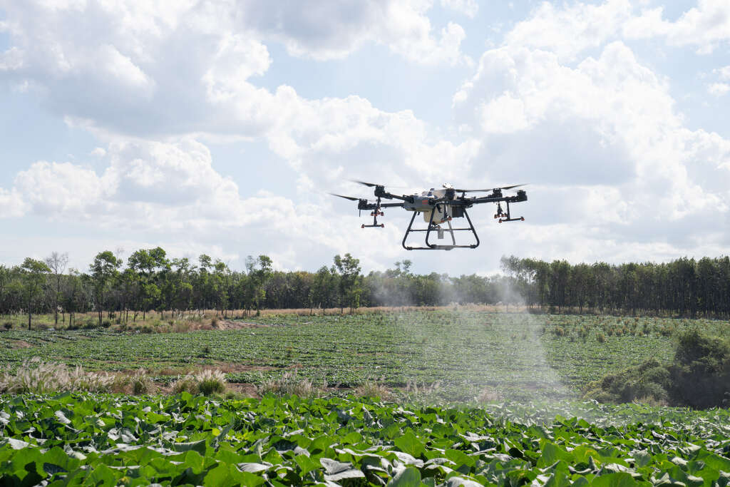 Home - Agridom Solutions Corp.